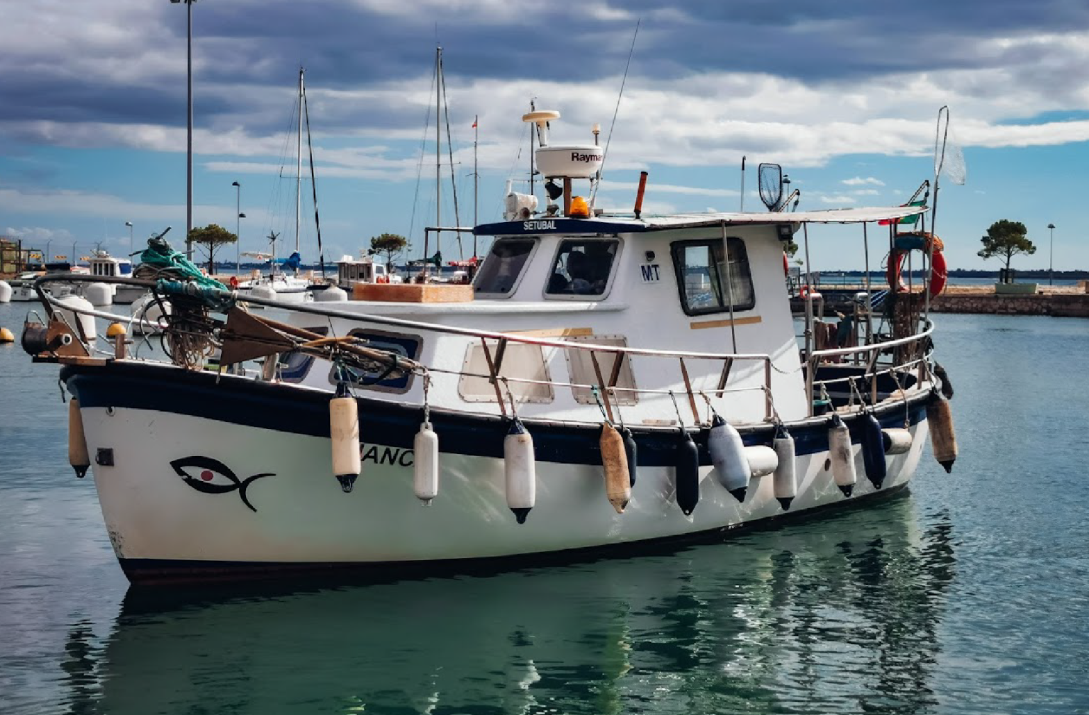 Barcos Tradicionais - Sea Life Lovers